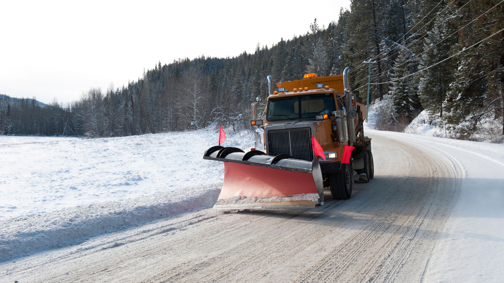 Why You Should Invest In Professional Snow Removal Services - Blue ...